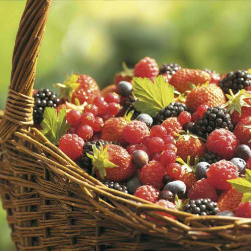Mélange fruits rouges